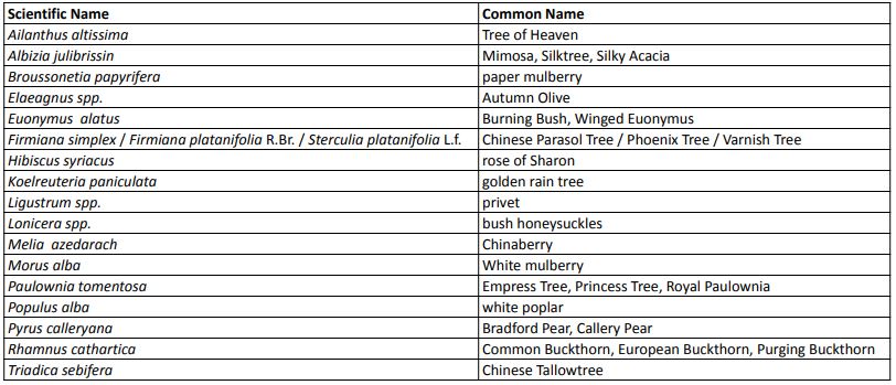 New Plantings for 2024 – Dickson Tree Management & Beautification Board
